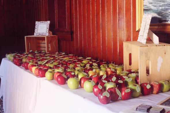 Fall Apple Theme Wedding - Rustic Wedding Chic