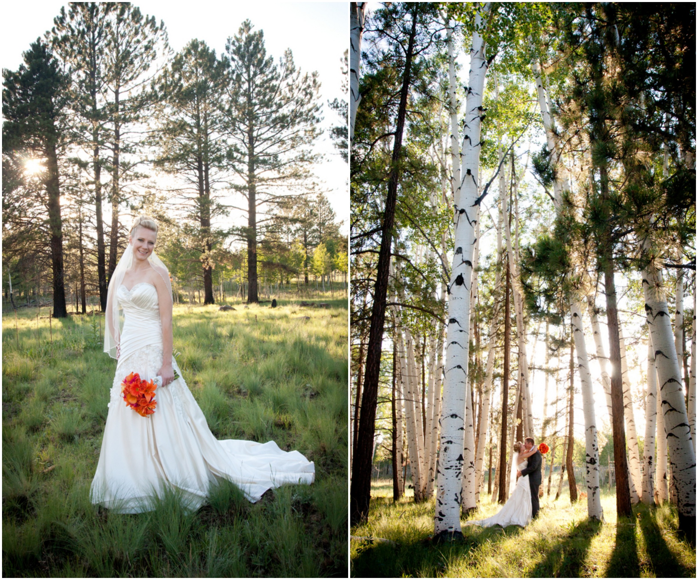 Birch Trees For Wedding