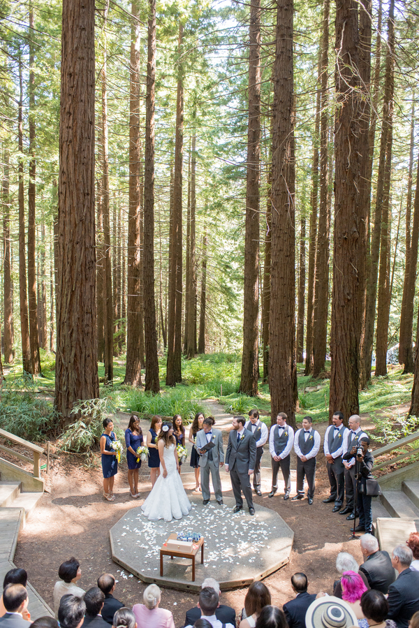 Blue & Gold Botanical Garden Wedding - Rustic Wedding Chic
